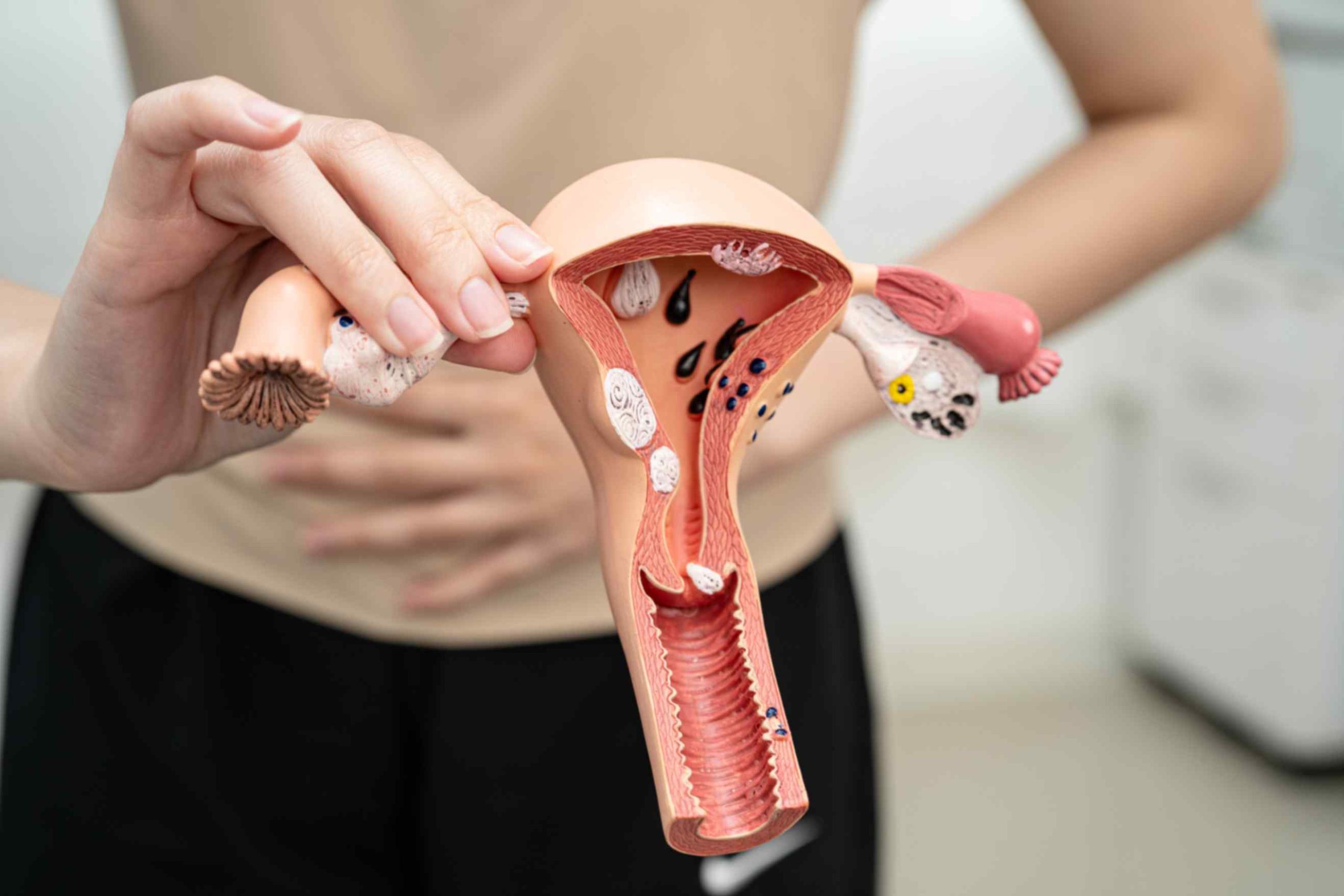 What Is the HPV Vaccine and Why Is It Important for Preventing Cancer ...